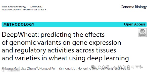 【国科科技港】中国农科院发布DeepWheat：用AI精准预测小麦基因表达与调控- 大数跨境