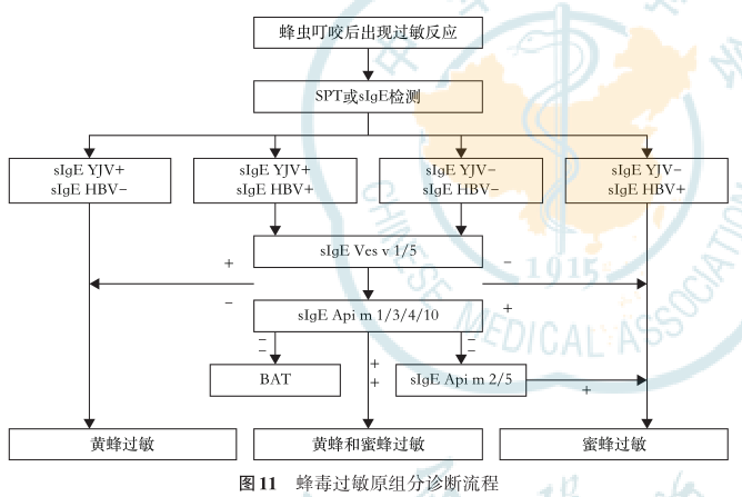 《中国过敏原组分诊断专家共识》解读- 大数跨境
