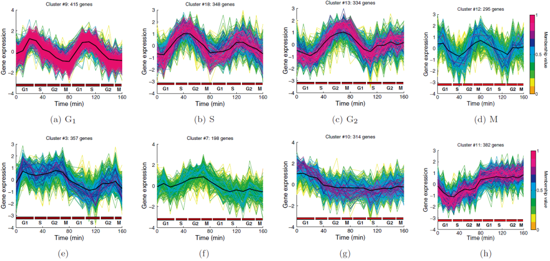 使用R语言的Mfuzz包进行基因表达的时间趋势分析并划分聚类群- 大数跨境