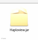 一文搞定单倍型Haploview分析（万字详解）- 大数跨境