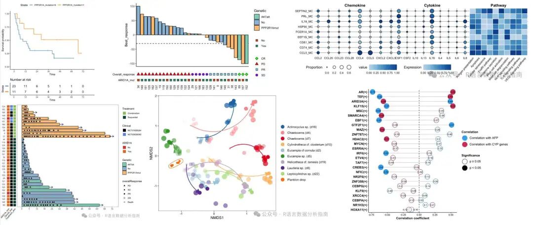 scTranslator：从RNA到蛋白的生成式AI模型- 大数跨境