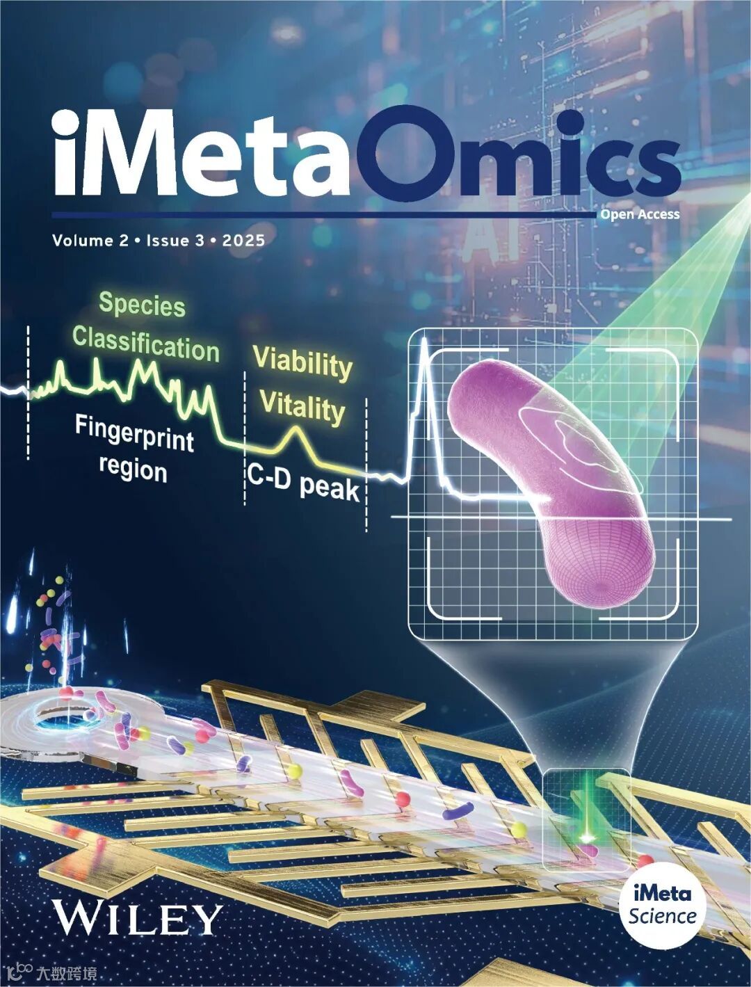 iMeta系列期刊宣传片(25版，含MetaOmics和iMetaMed)影响因子IF 33.2生物医学综合，全球第65中国第5- 大数跨境
