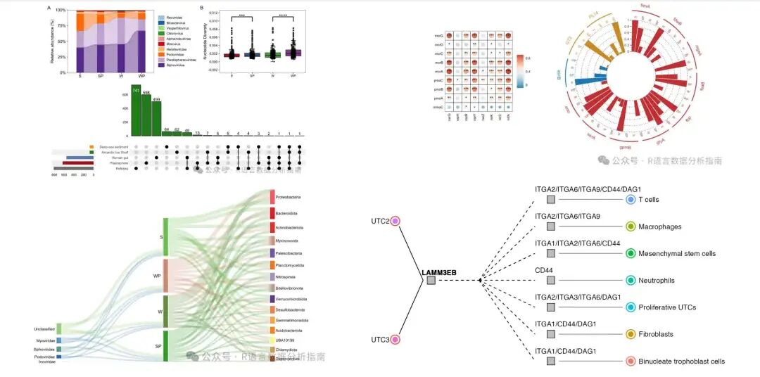 scTranslator：从RNA到蛋白的生成式AI模型- 大数跨境