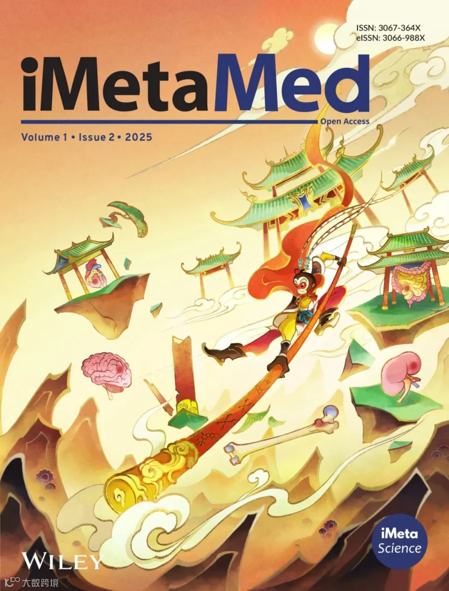 iMeta系列期刊宣传片(25版，含MetaOmics和iMetaMed)影响因子IF 33.2生物医学综合，全球第65中国第5- 大数跨境