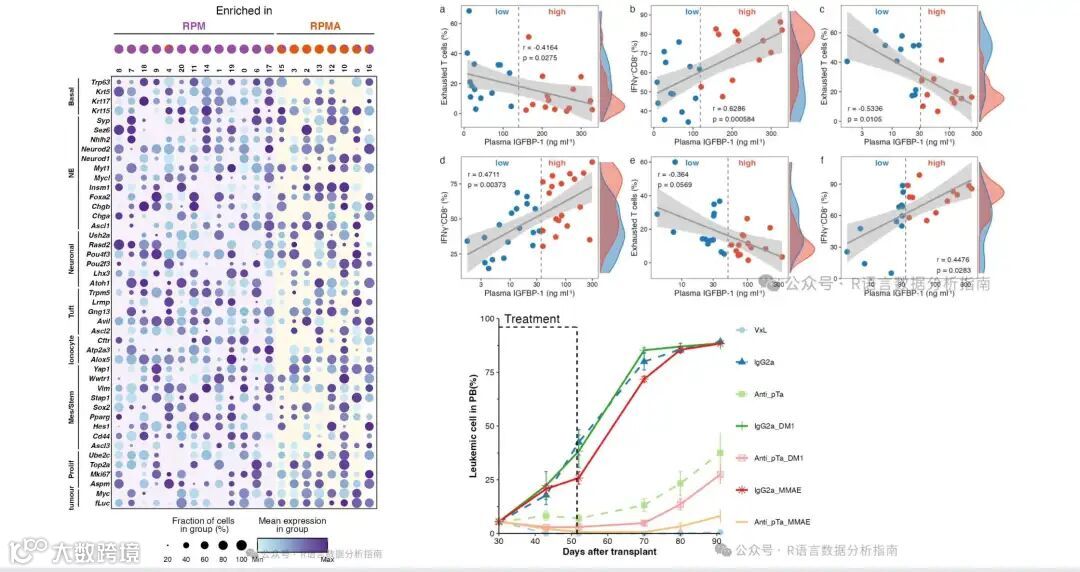 scTranslator：从RNA到蛋白的生成式AI模型- 大数跨境