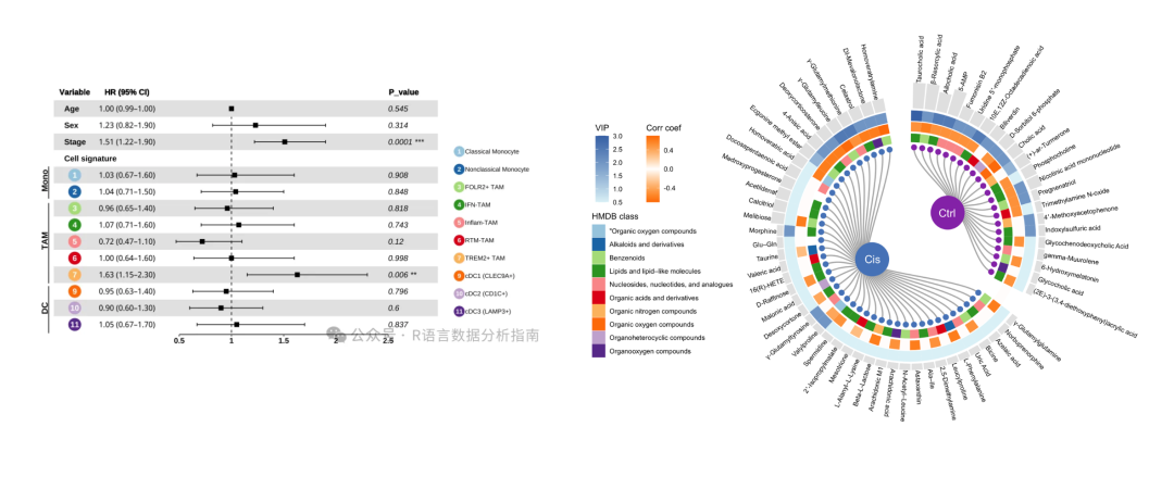 scTranslator：从RNA到蛋白的生成式AI模型- 大数跨境