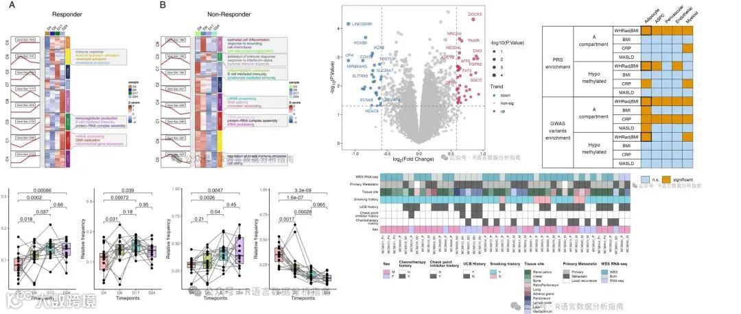 scTranslator：从RNA到蛋白的生成式AI模型- 大数跨境