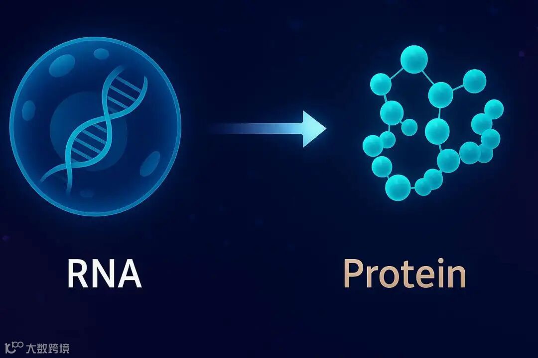 scTranslator：从RNA到蛋白的生成式AI模型- 大数跨境