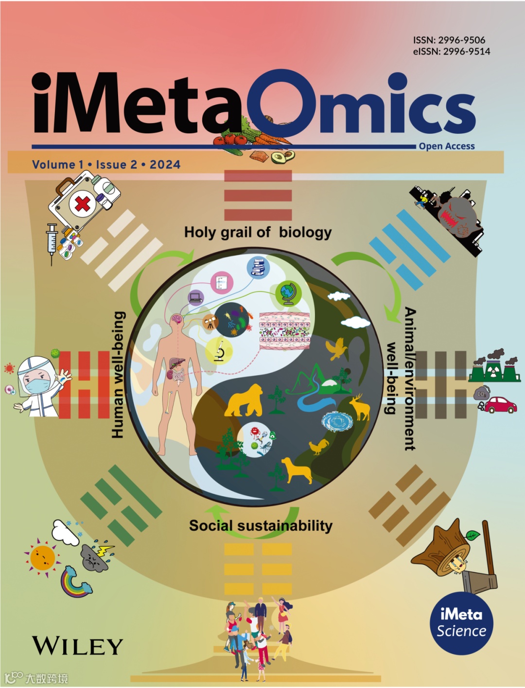 iMeta系列期刊宣传片(25版，含MetaOmics和iMetaMed)影响因子IF 33.2生物医学综合，全球第65中国第5- 大数跨境