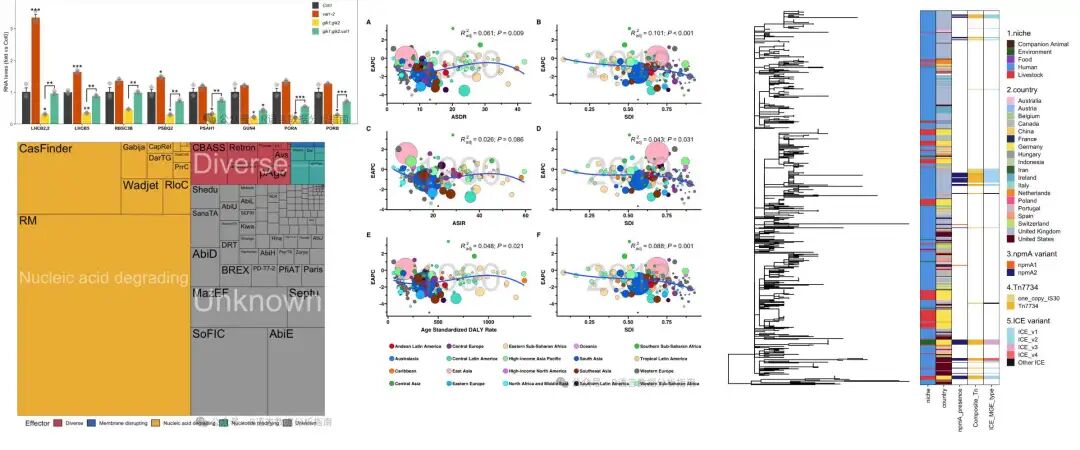 scTranslator：从RNA到蛋白的生成式AI模型- 大数跨境