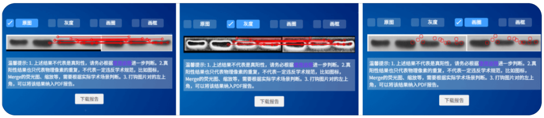 科研人不能错过的图片查重神器：FigCheck2.0（内含福利）- 大数跨境