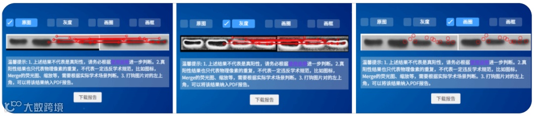 科研人不能错过的图片查重神器：FigCheck2.0（内含福利）- 大数跨境