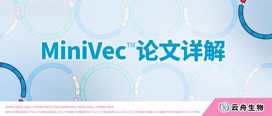 论文详解 | MiniVec™如何突破传统质粒的抗生素依赖与功能瓶颈？- 大数跨境