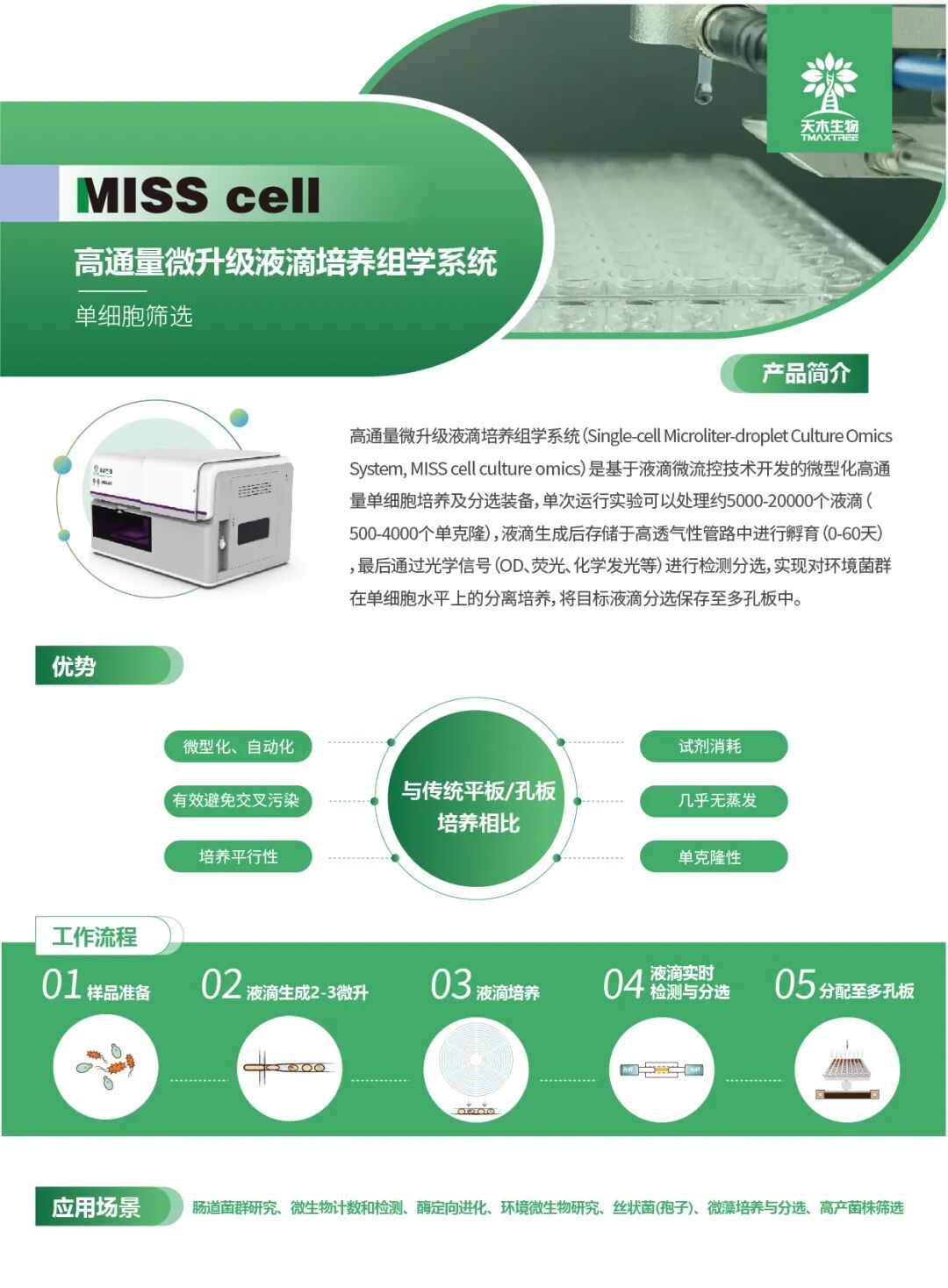 应用视界丨入门指南：MISS cell操作全攻略- 大数跨境