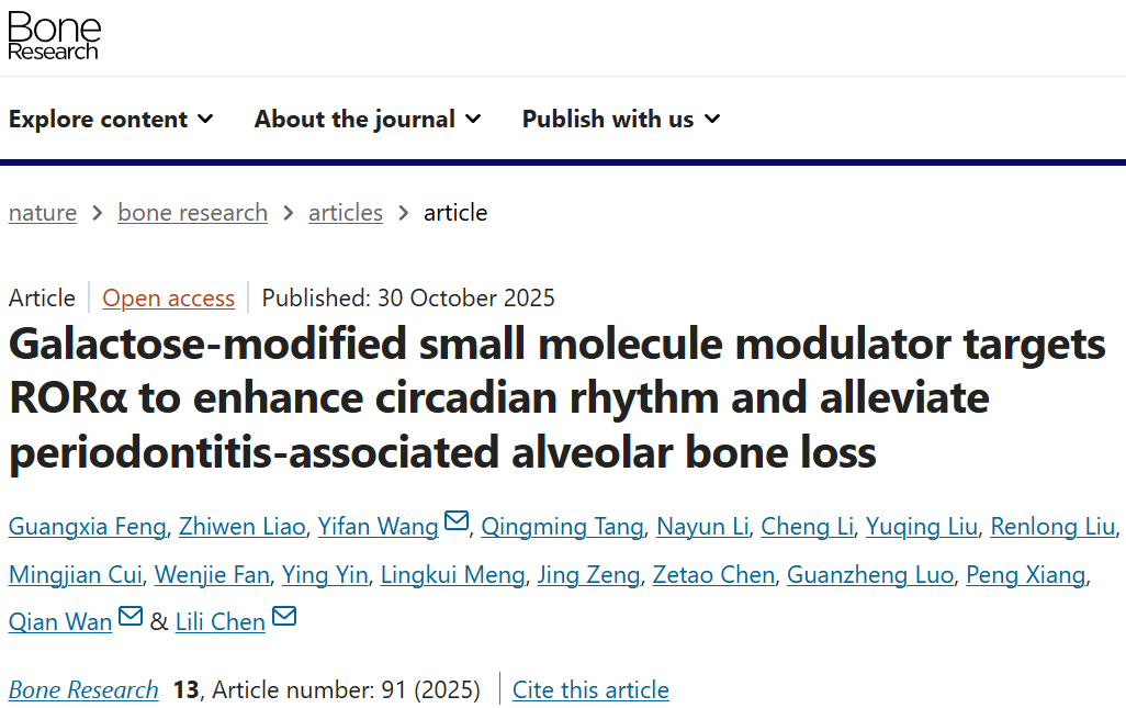 Bone Res | 陈莉莉等团队合作通过半乳糖修饰的小分子调节剂靶向RORα增强昼夜节律，减轻牙周炎相关的牙槽骨丢失- 大数跨境