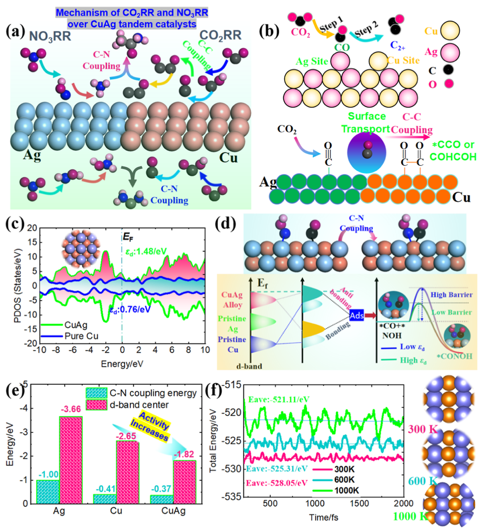 福建物构所韩丽丽团队ACS Catalysis: 显式微环境揭示CuAg催化C–N偶联制乙酰胺和尿素- 大数跨境