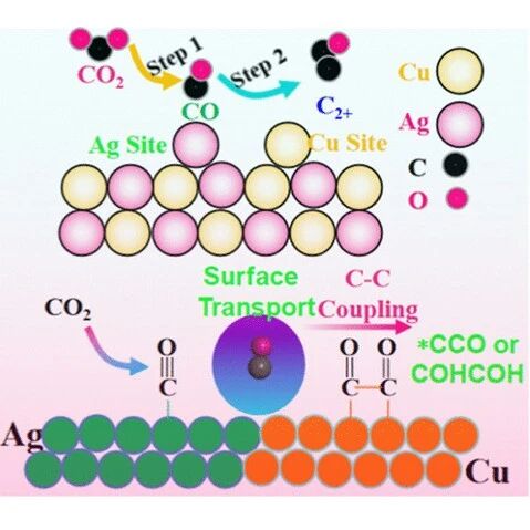 福建物构所韩丽丽团队ACS Catalysis: 显式微环境揭示CuAg催化C–N偶联制乙酰胺和尿素- 大数跨境