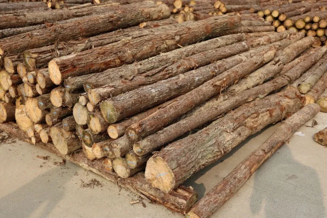 云南元阳县以木材加工为突破口延链补链强链- 大数跨境