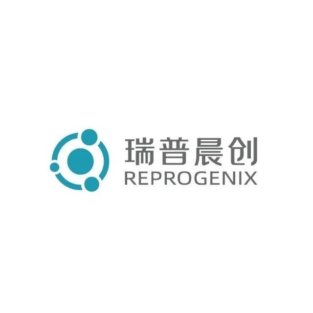 5 亿元融资！瑞普晨创加码再生胰岛治疗赛道- 大数跨境