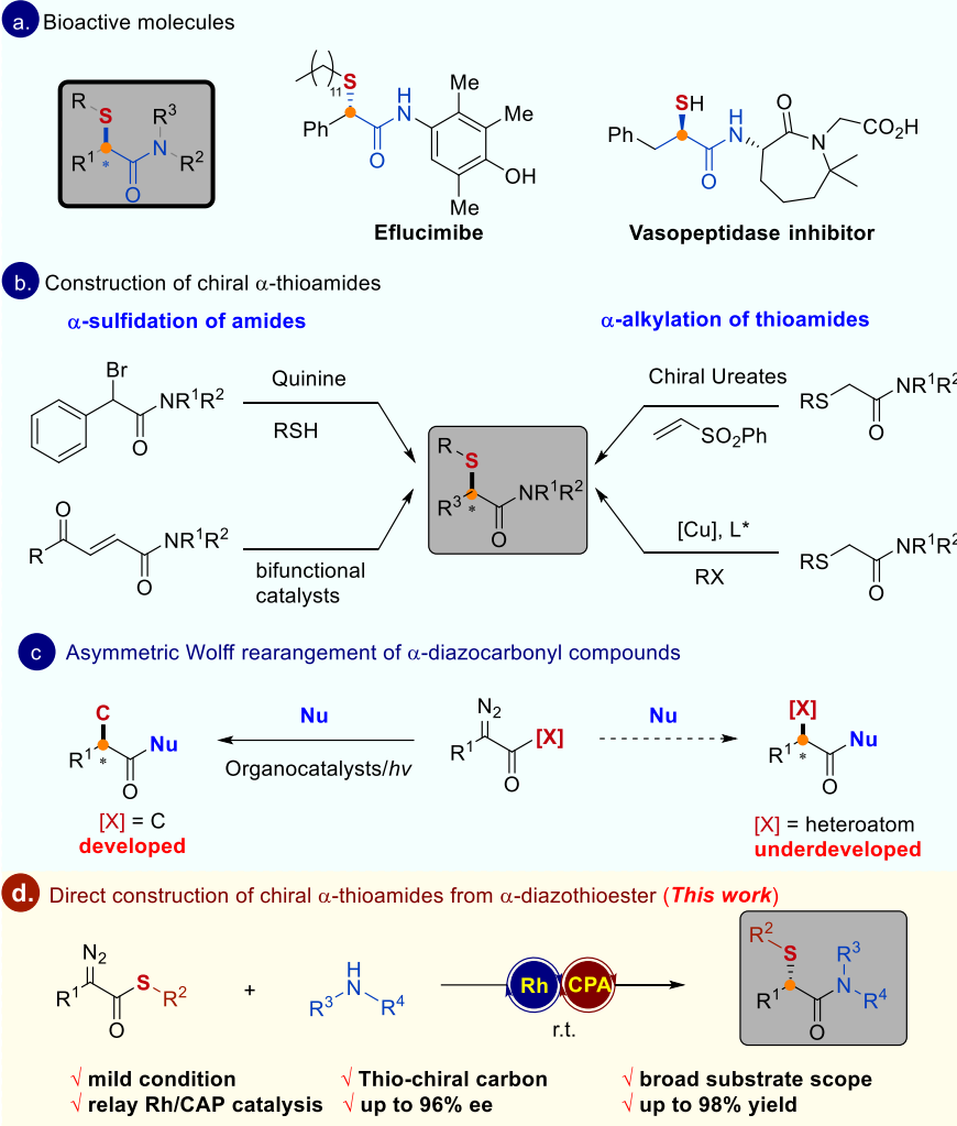 【Chin. J. Chem.】华东师大刘路课题组：铑/手性膦酸协同催化实现硫杂α-Wolff重排合成手性α硫代酰胺- 大数跨境