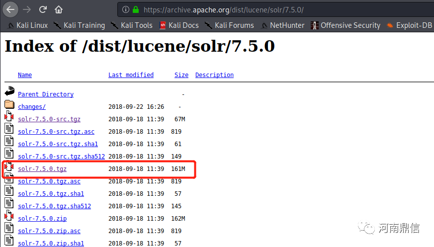 Apache Solr漏洞复现- 大数跨境