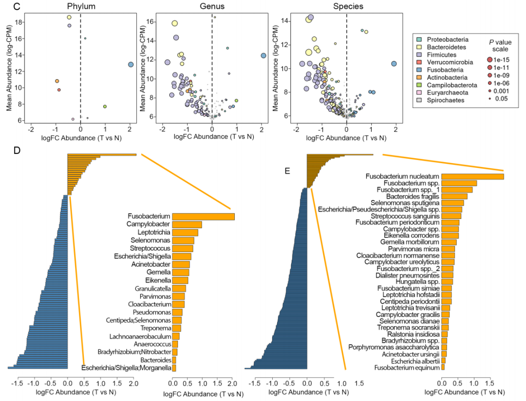 文献解读丨基于瘤内菌群特征的分型或可预测大肠癌预后- 大数跨境