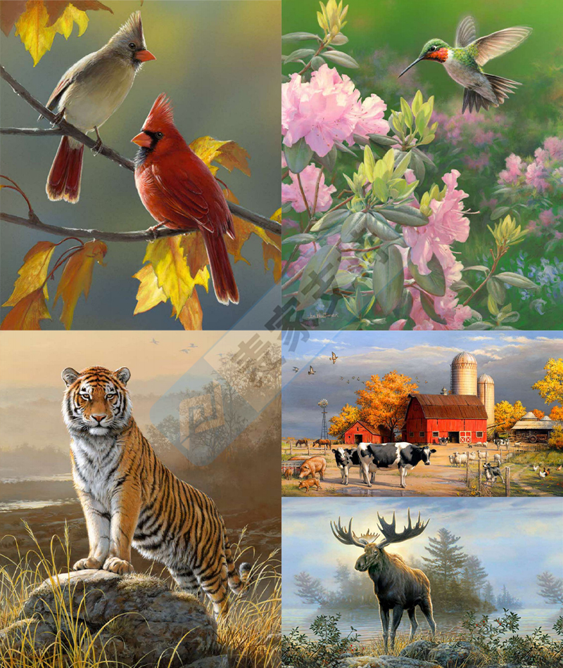 24-cv-10639，时隔一年，Joseph Murray Hautman动物版权维权再回归_大数跨境｜跨境从业者专属的媒体平台