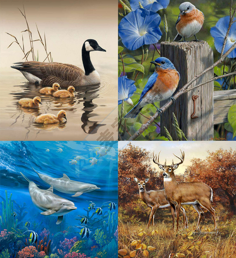 24-cv-10639，时隔一年，Joseph Murray Hautman动物版权维权再回归_大数跨境｜跨境从业者专属的媒体平台